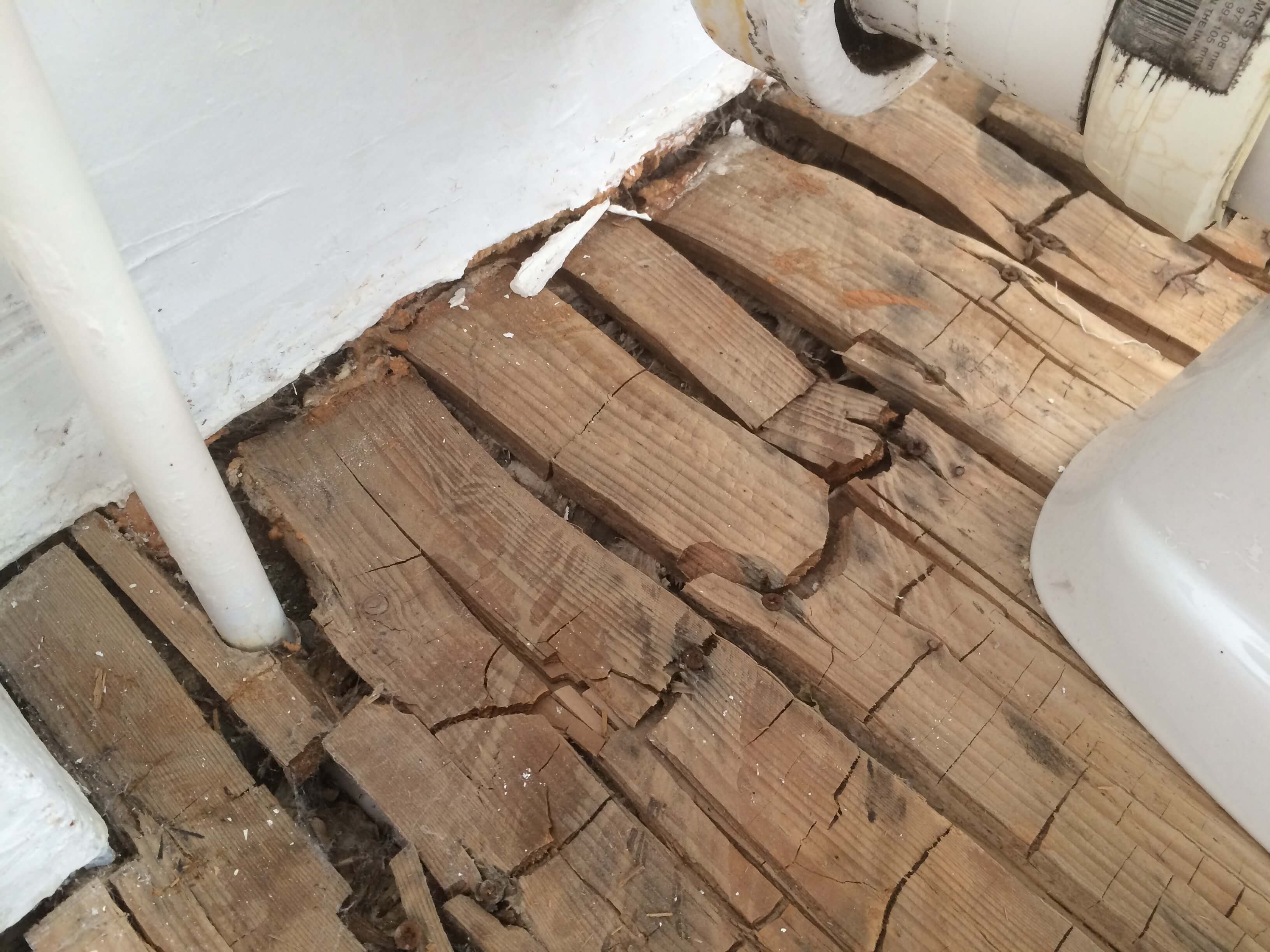 Timber and Damp - GTT