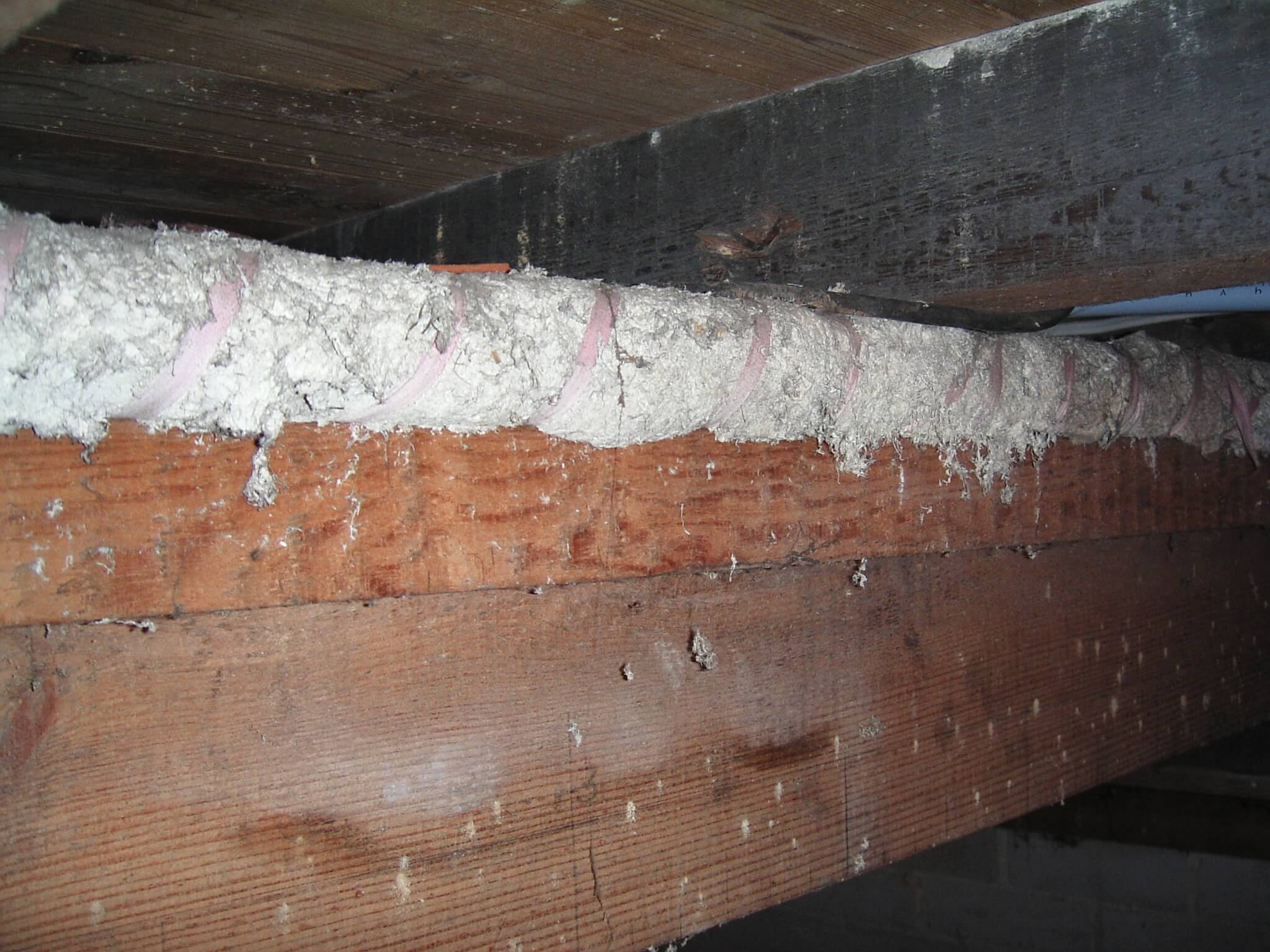 Timber and Damp - GTT